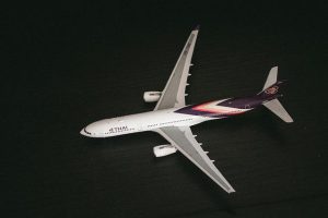 Thai Airways NZeTA Nieuw-Zeeland online aanvragen